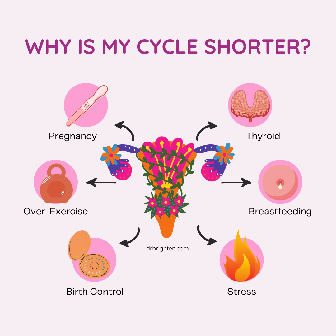 Ganar Tres Puerta Menstrual Cycle Getting Shorter With Age Gas