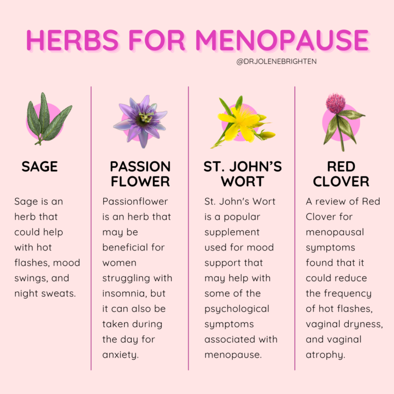 Connection Between Gut Health, Hormones, and Menopause - Dr. Jolene ... Connection Between Gut Health, Hormones, and Menopause - Dr. Jolene ...