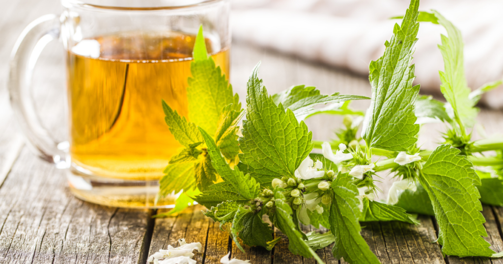 Benefits of Nettle Root for PCOS Symptoms