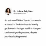 The Thyroid Gut Connection + 4 Steps to Heal Your Gut