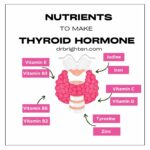 Thyroid Medications: A Comprehensive Guide