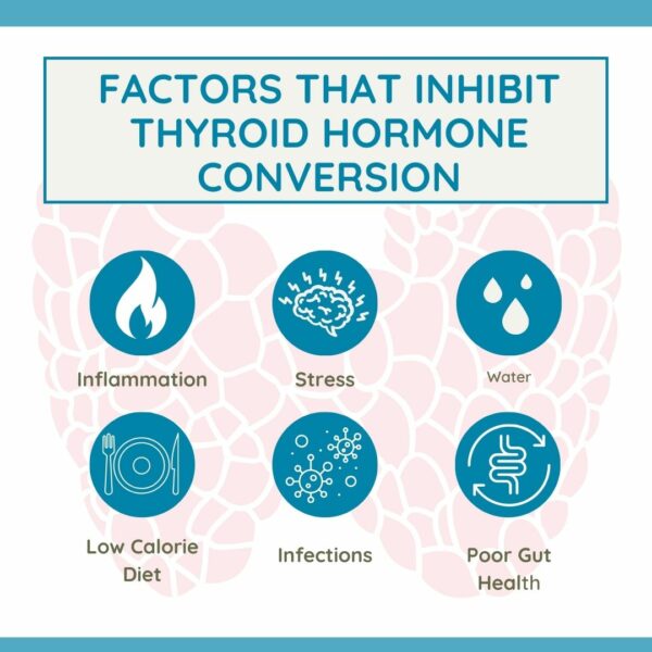 Thyroid Medications: A Comprehensive Guide