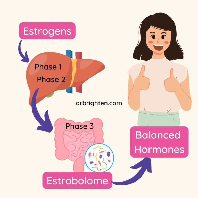 Gut Health and Hormones: Why is a Healthy Gut Microbiome Important for ...