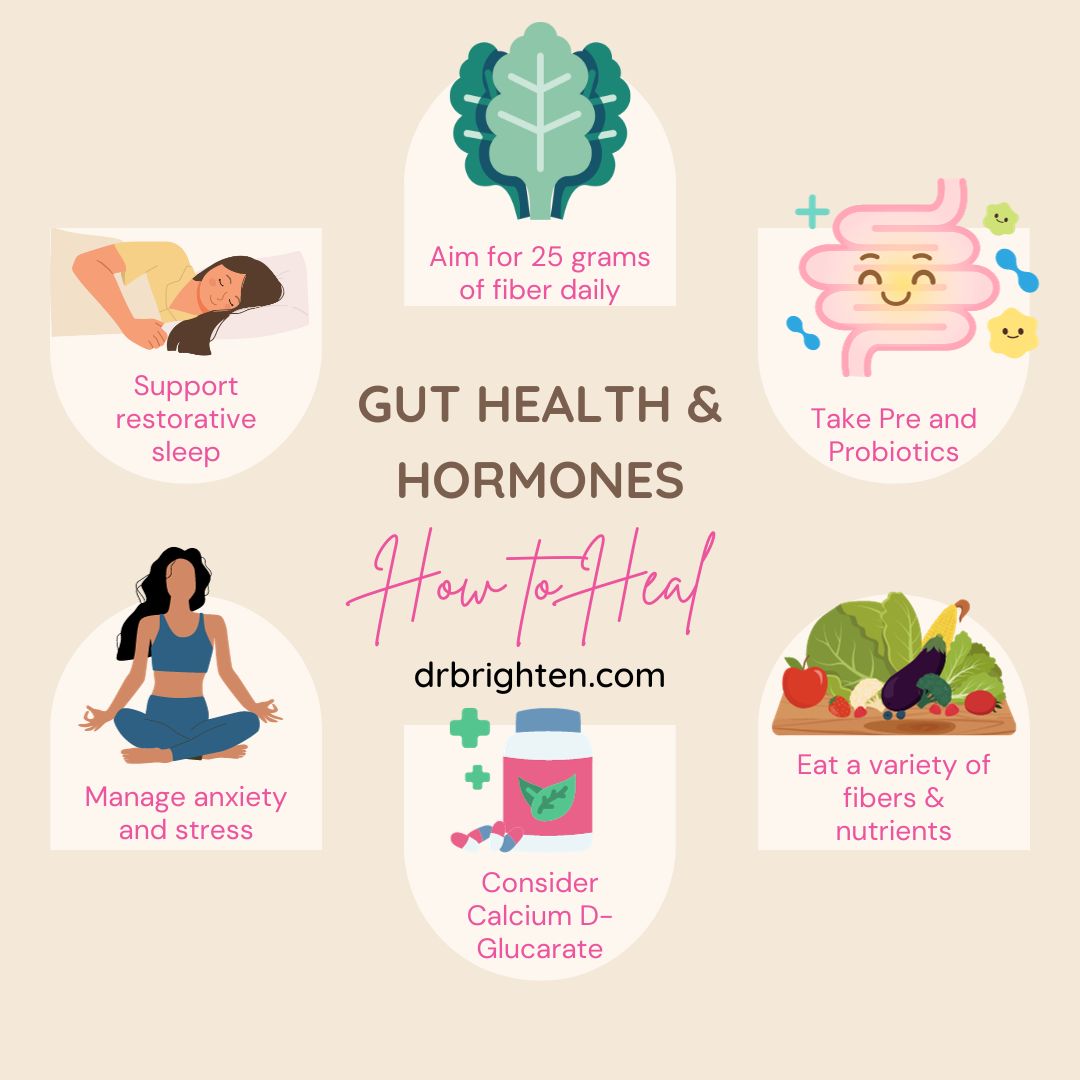 Gut Health and Hormones: Why is a Healthy Gut Microbiome Important for ...