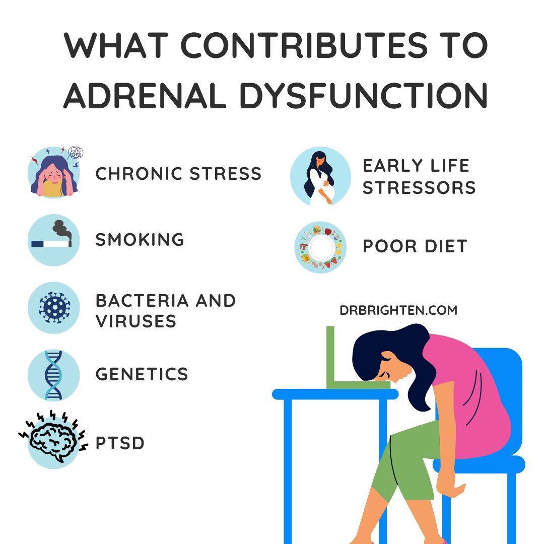 Adrenal Fatigue: Symptoms, Causes & Treatments