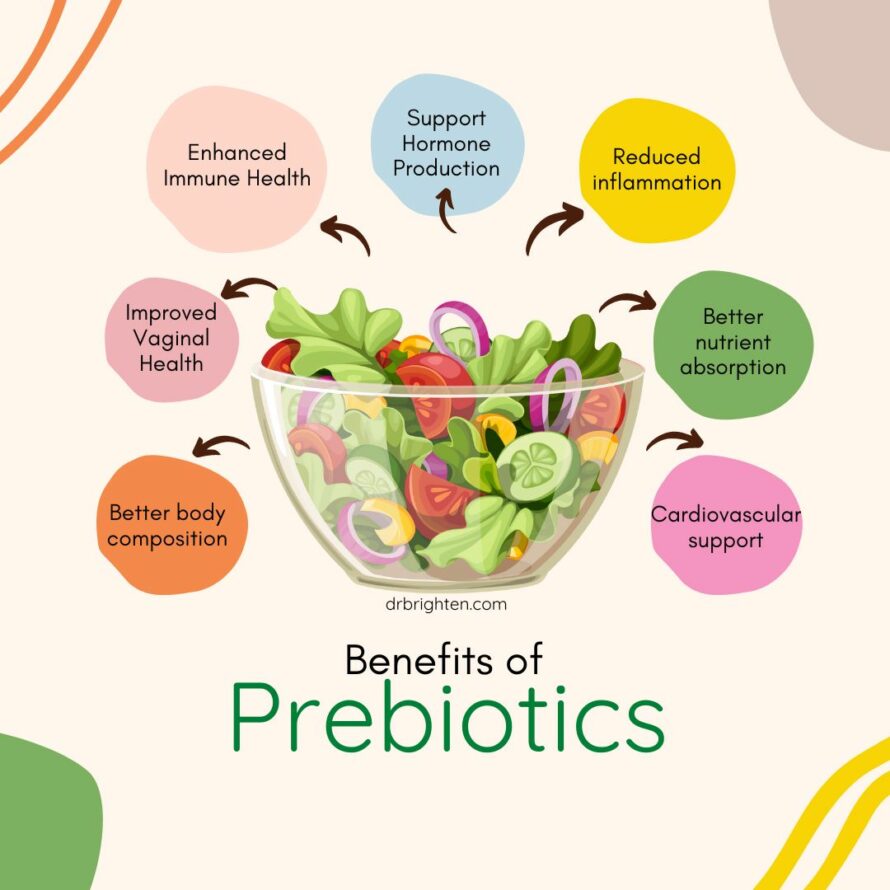 20 Best Prebiotics for Gut Health and Hormonal Balance