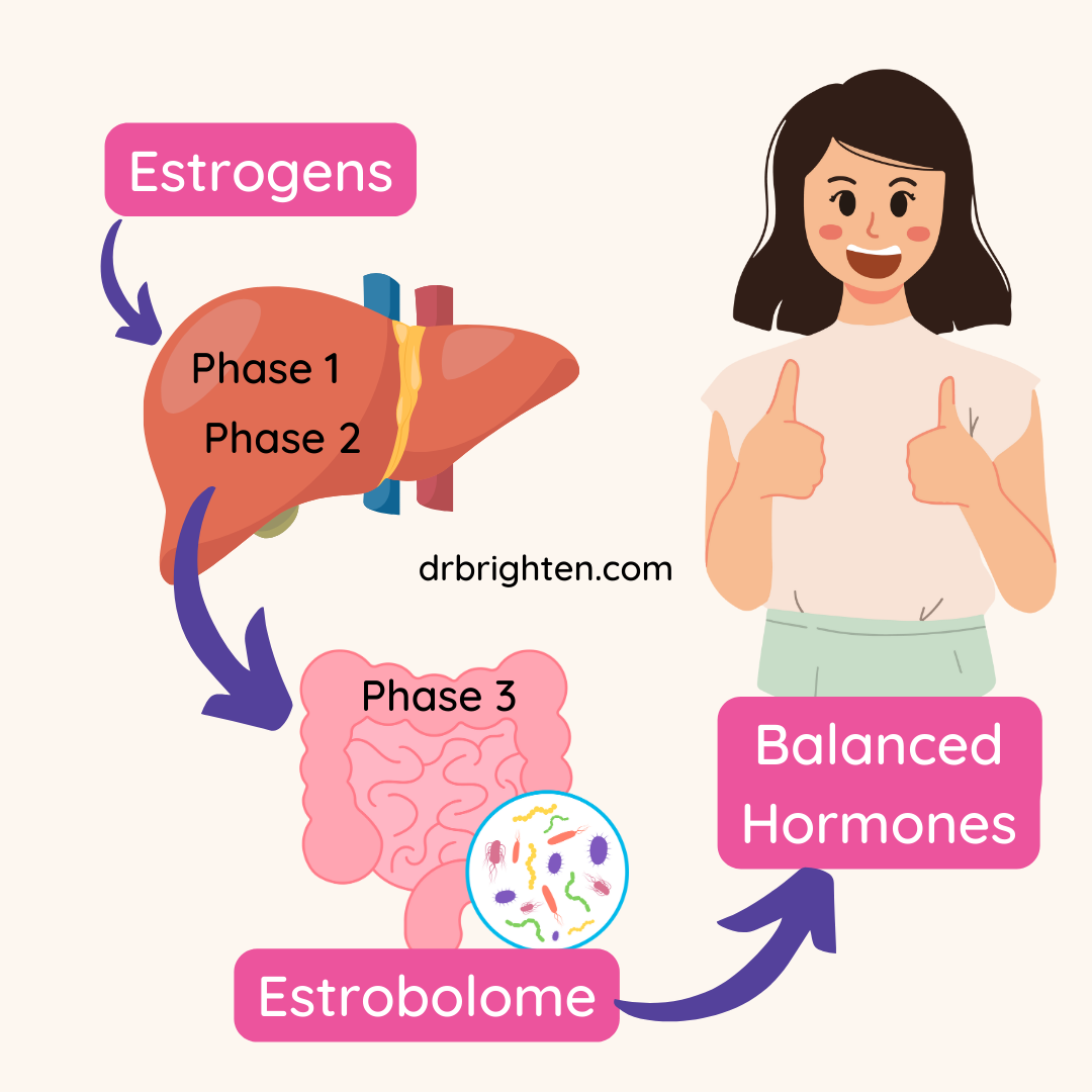 20 Best Prebiotics for Gut Health and Hormonal Balance