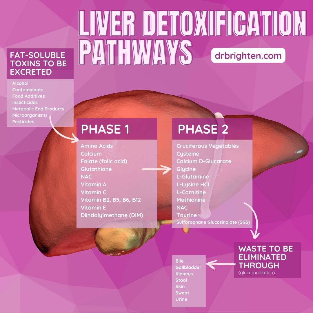 Endocrine Disrupting Compounds and Fertility