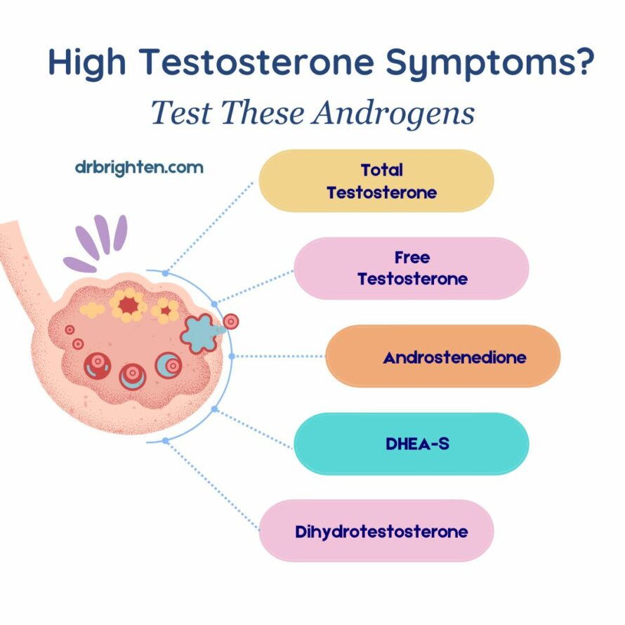 High Testosterone In Women + What to Do About It - Dr. Jolene Brighten