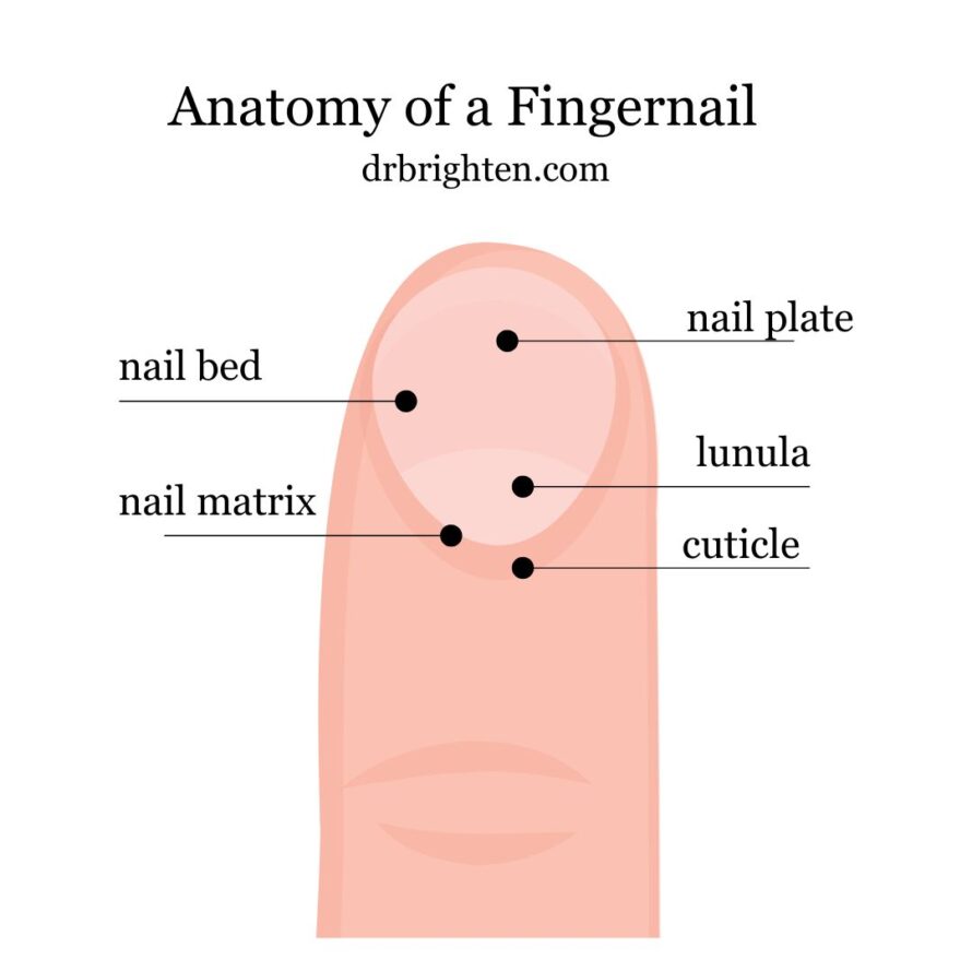What Your Fingernails Say About Your Health