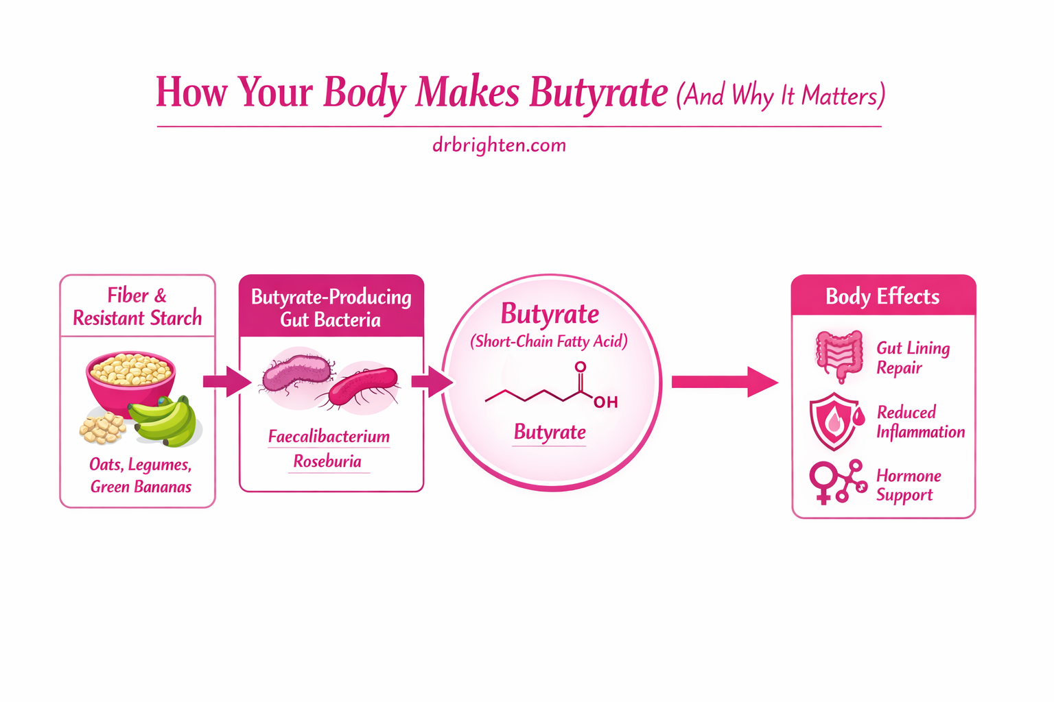 Benefits of Butyrate: Why This Matters for Women’s Health