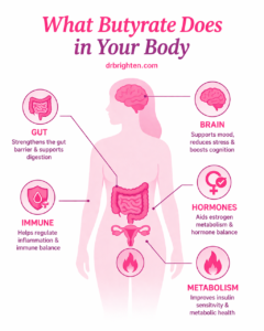 Benefits of Butyrate: Why This Matters for Women’s Health